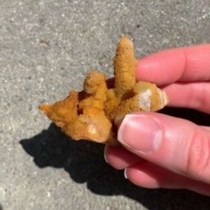 Accents | Yellow Spirit Quartz Cactus Quartz Cute Crystal | Poshmark